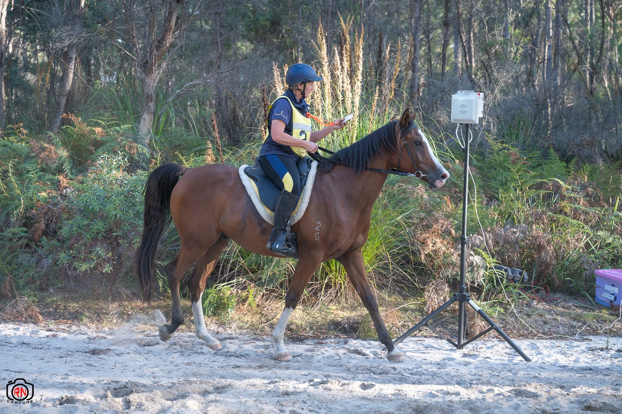 Wattlewood Park Endurance Ride — NTARC Inc.