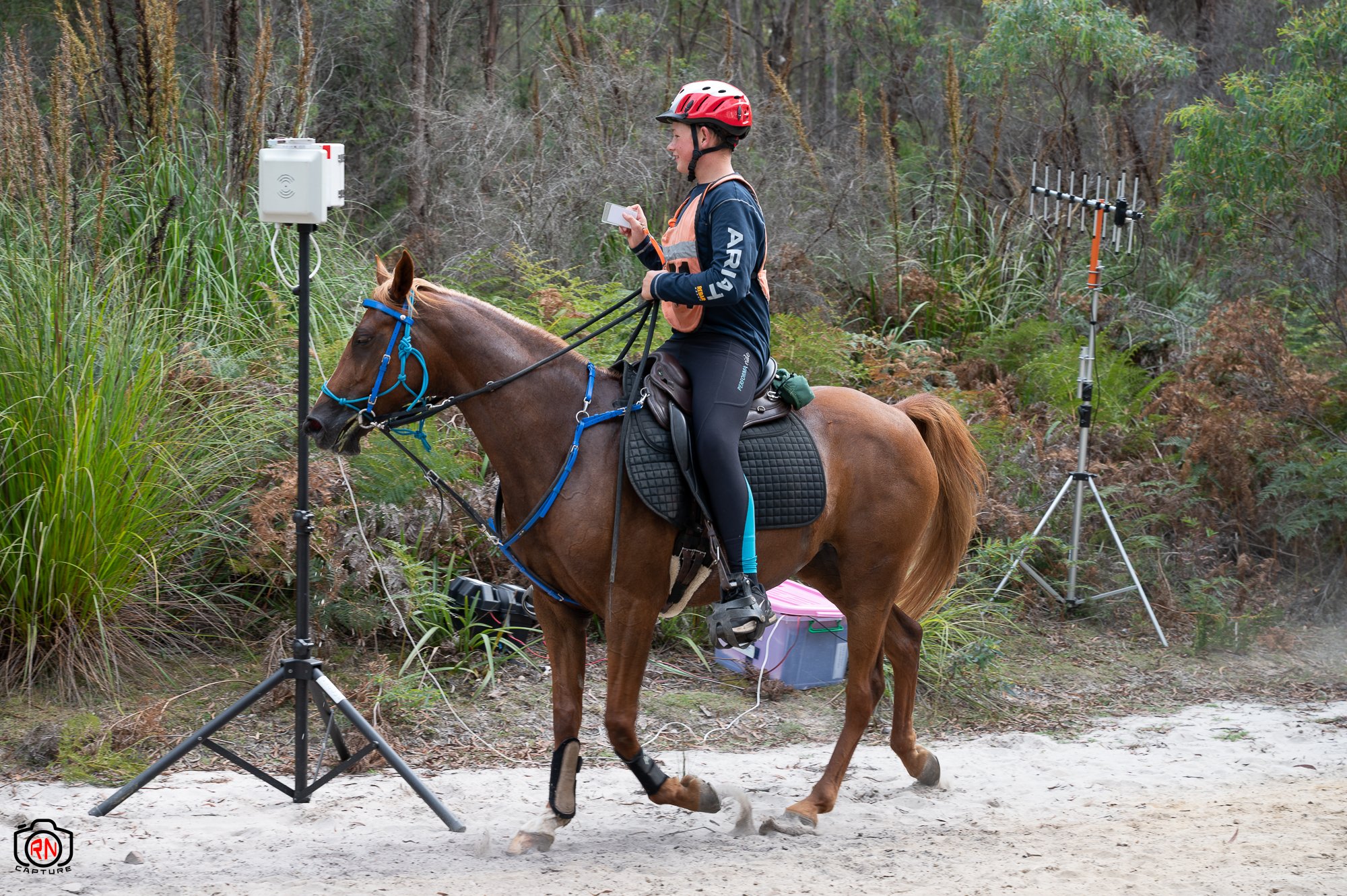 Wattlewood Park Endurance Ride — NTARC Inc.