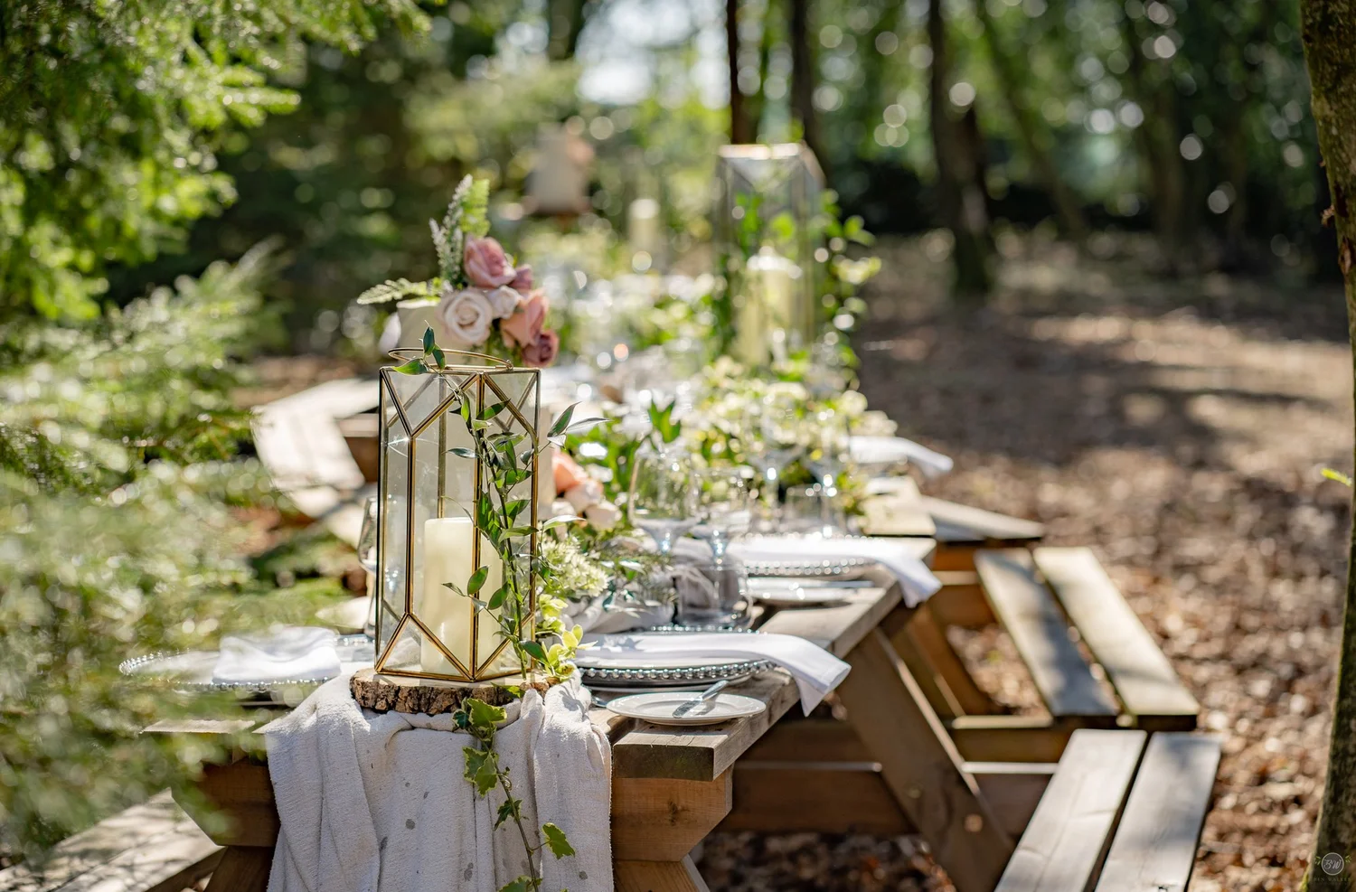 Spring at The Oaks — The Oaks
