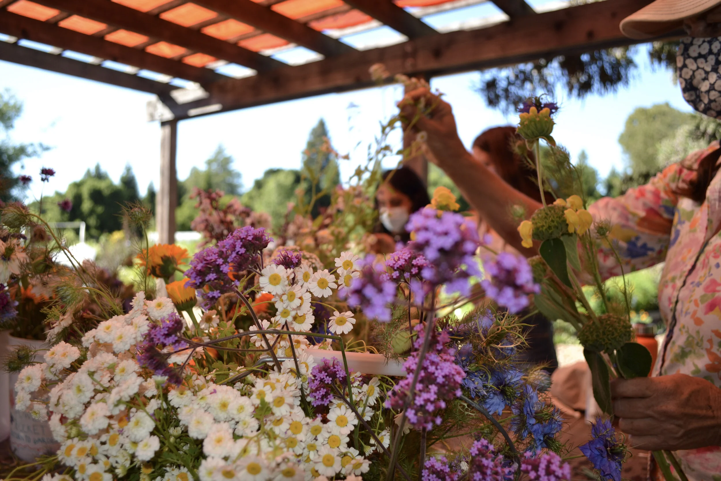 Origin Story — Ceres Community Project