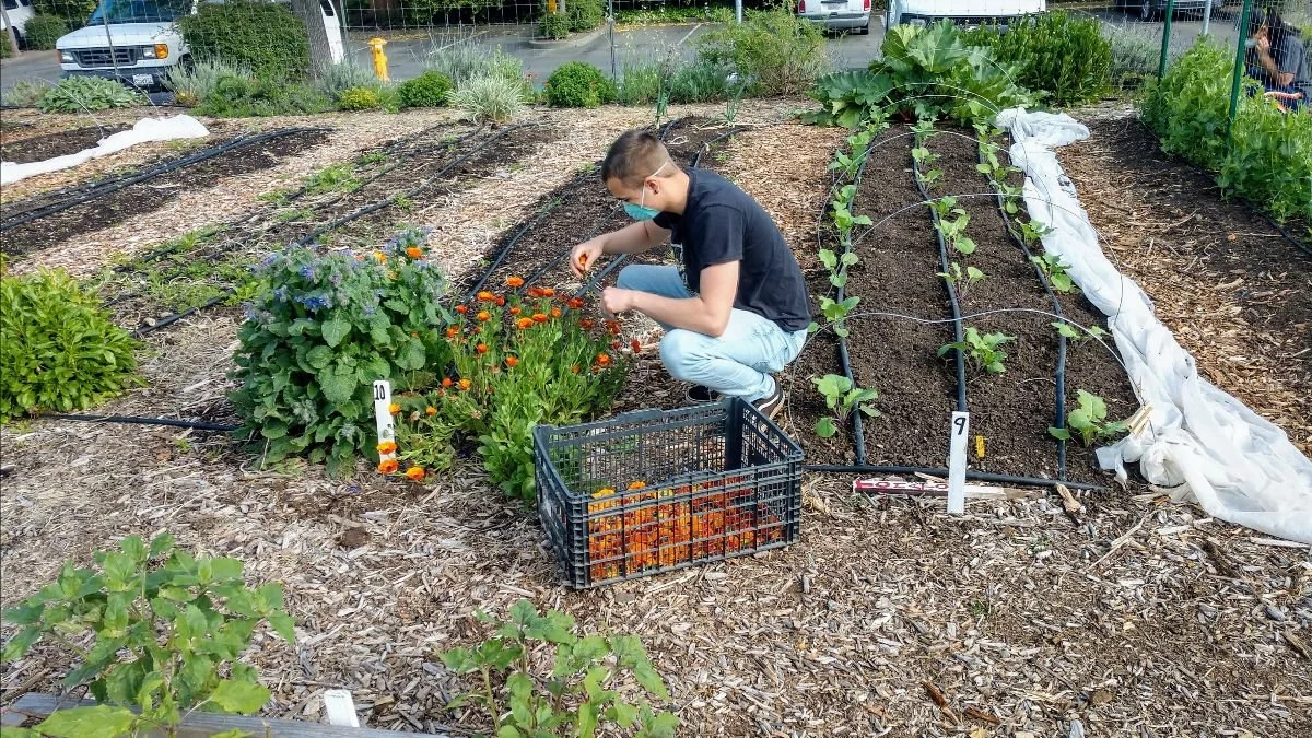 Why Organic Matters — Ceres Community Project