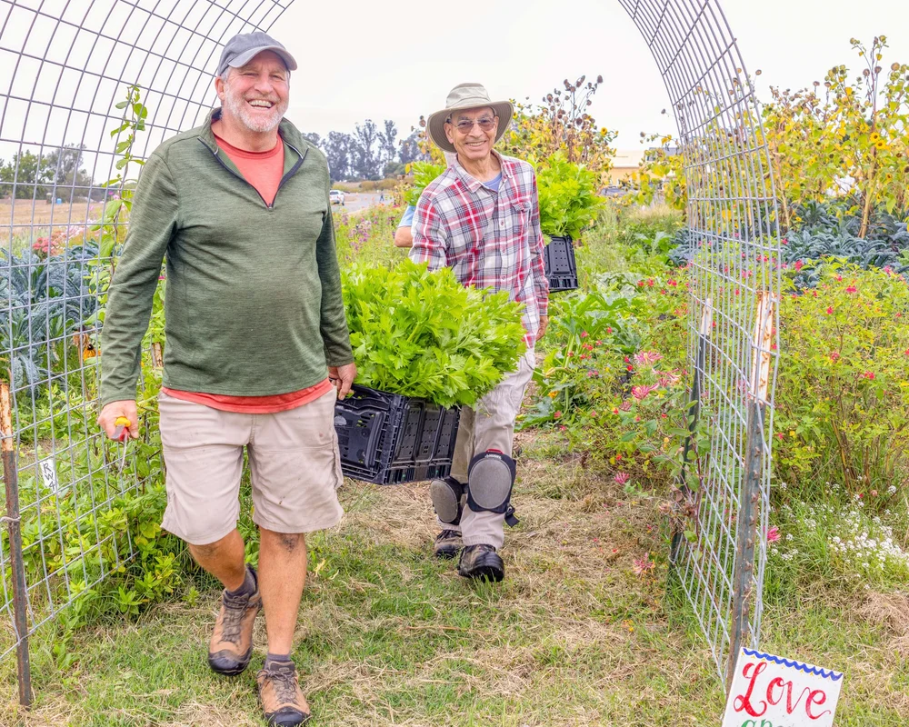 Ceres Community Project