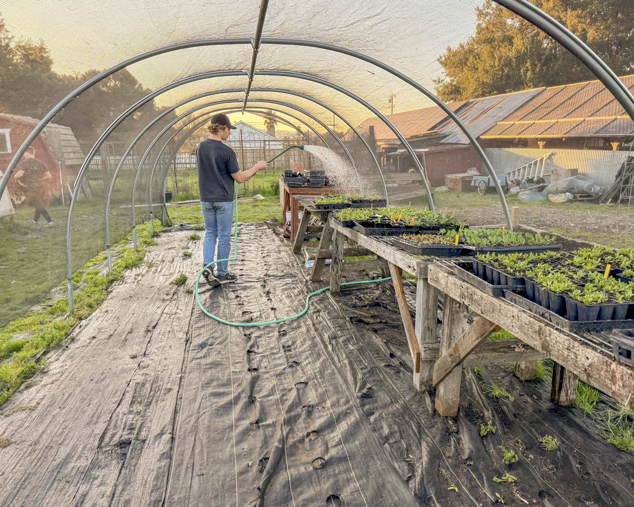 Organic Food Systems Program — Ceres Community Project