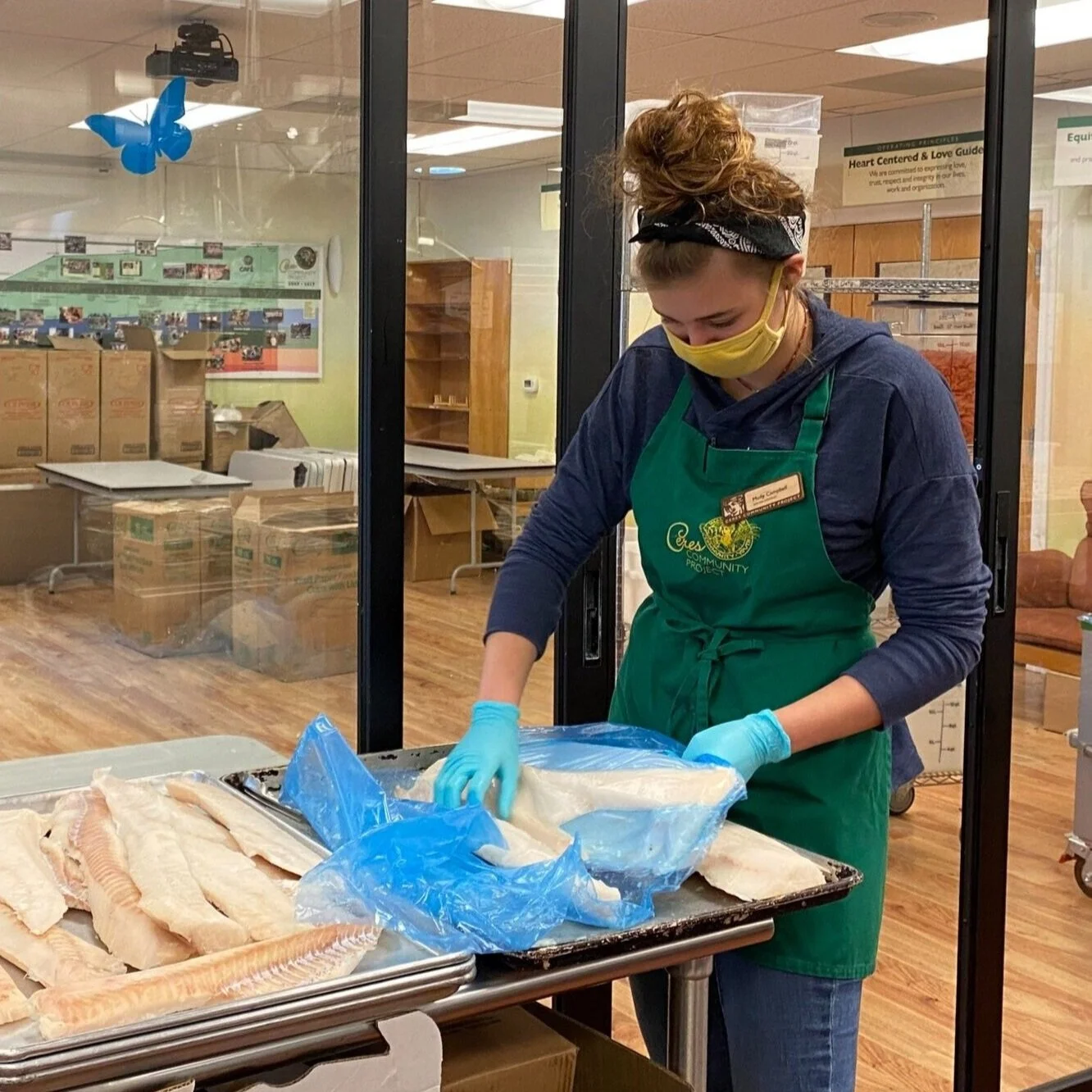 Ceres Community Project