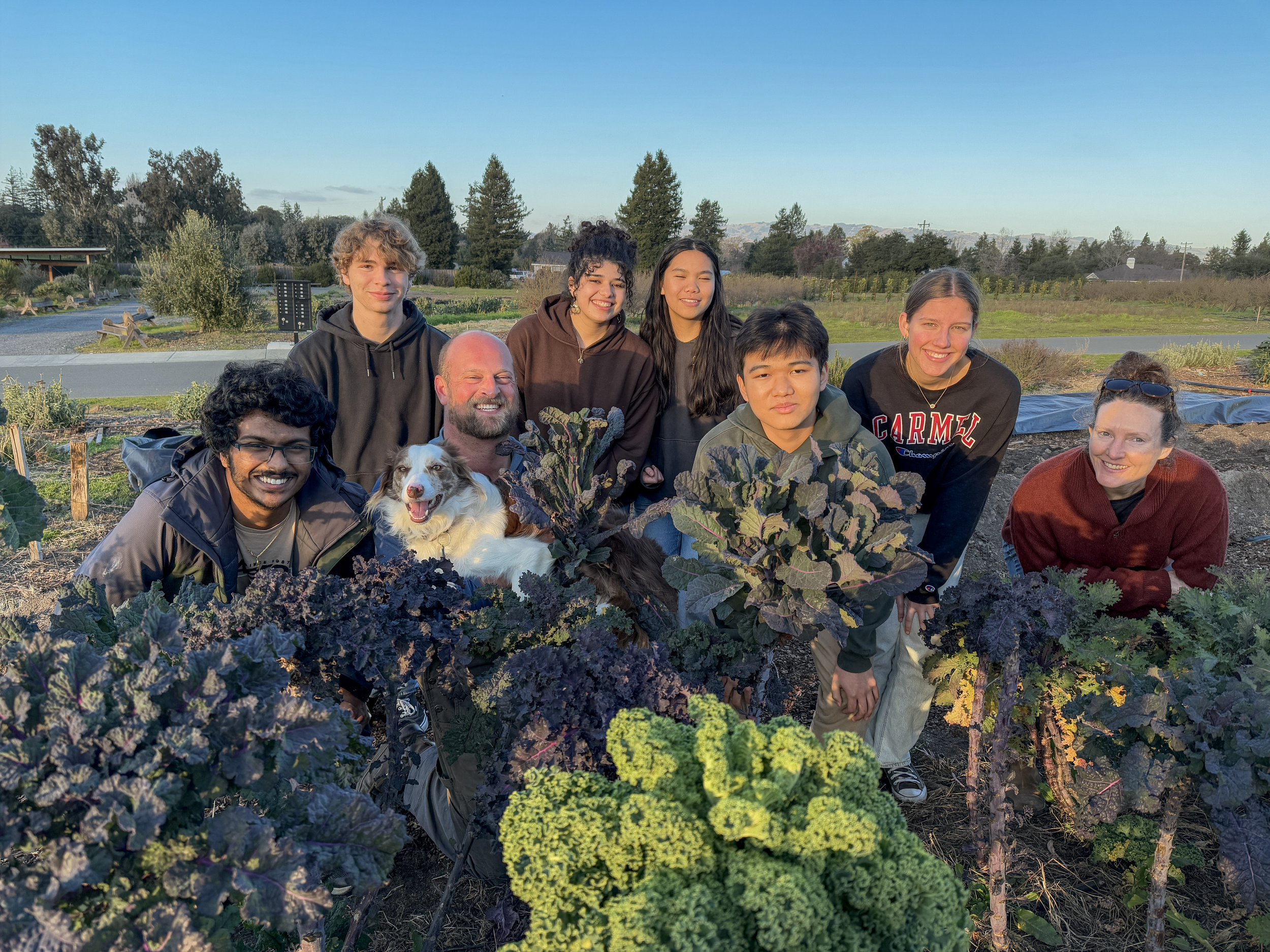 Vision, Mission & Values — Ceres Community Project