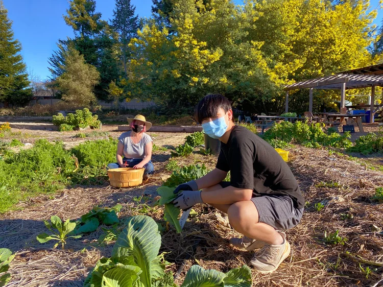 Ceres Community Project
