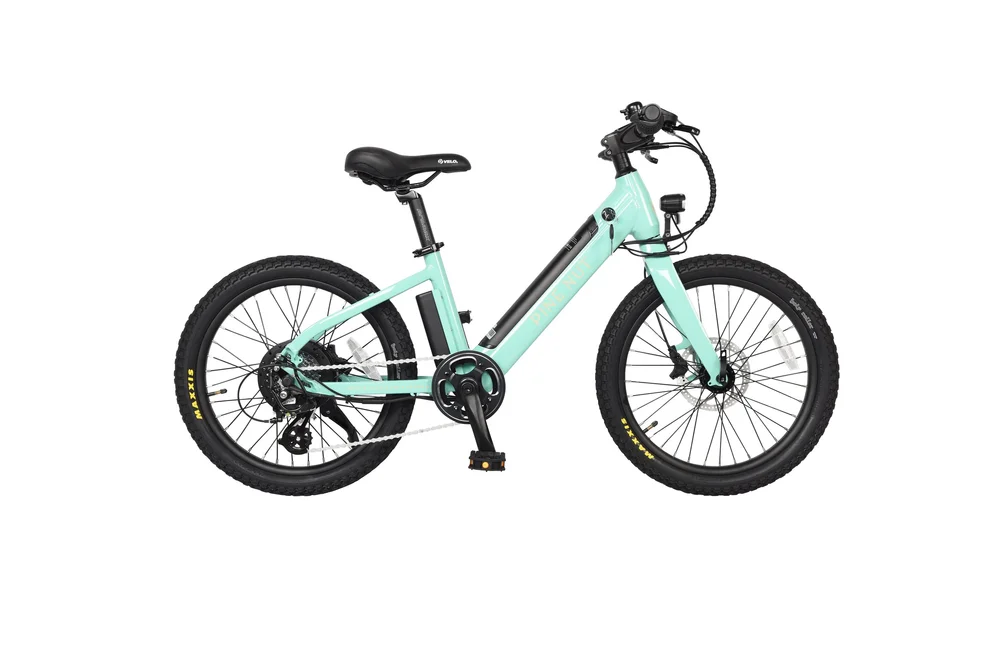 Online Store — Pine Nut Cycle E-Bike Rentals