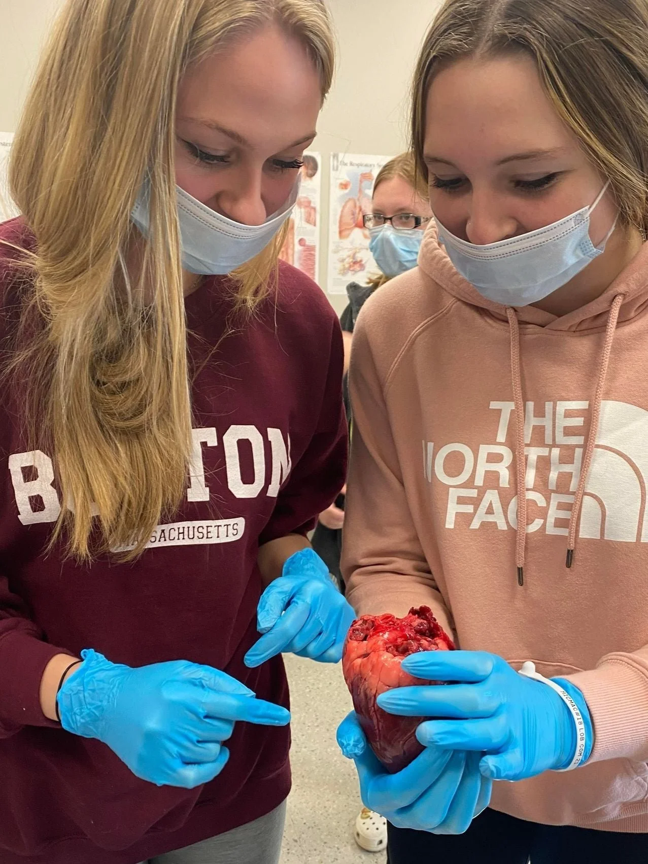 Health Occupations — CWCIT