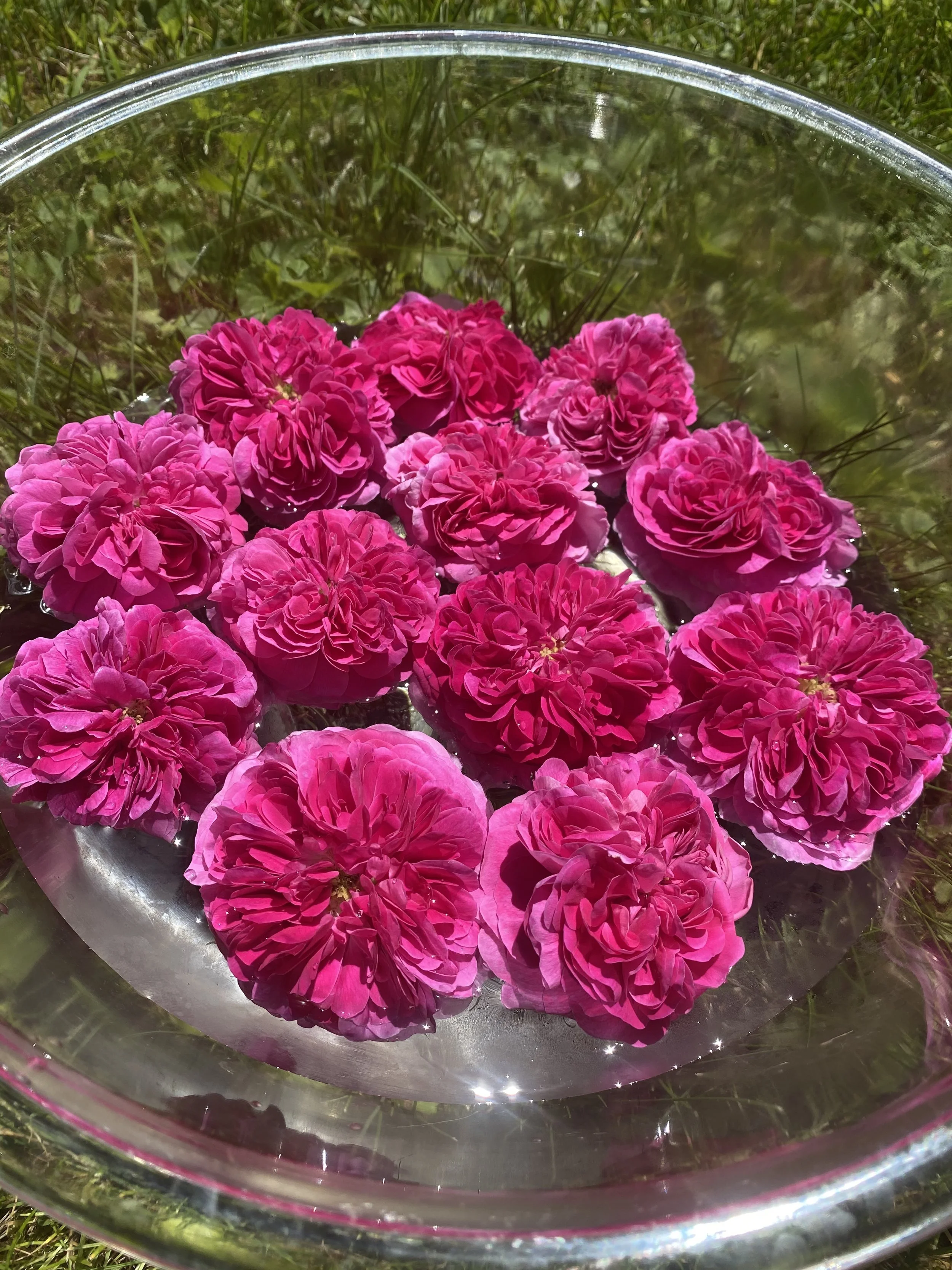 Mexico Retreats — maha rose