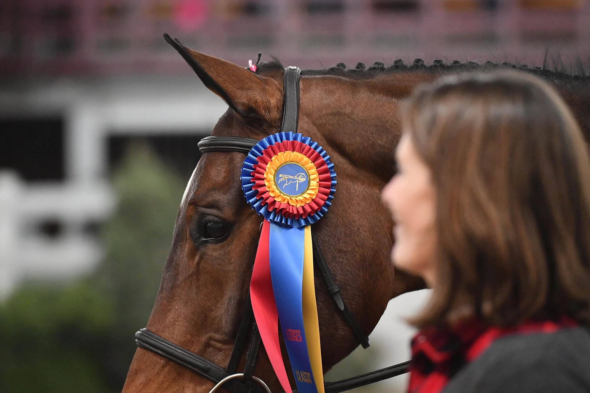 Bull Run Equestrian Center