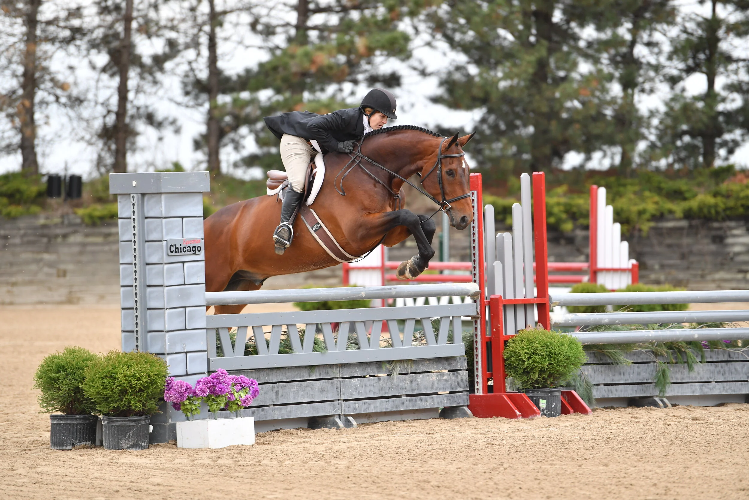 Our Instructors — Bull Run Equestrian Center