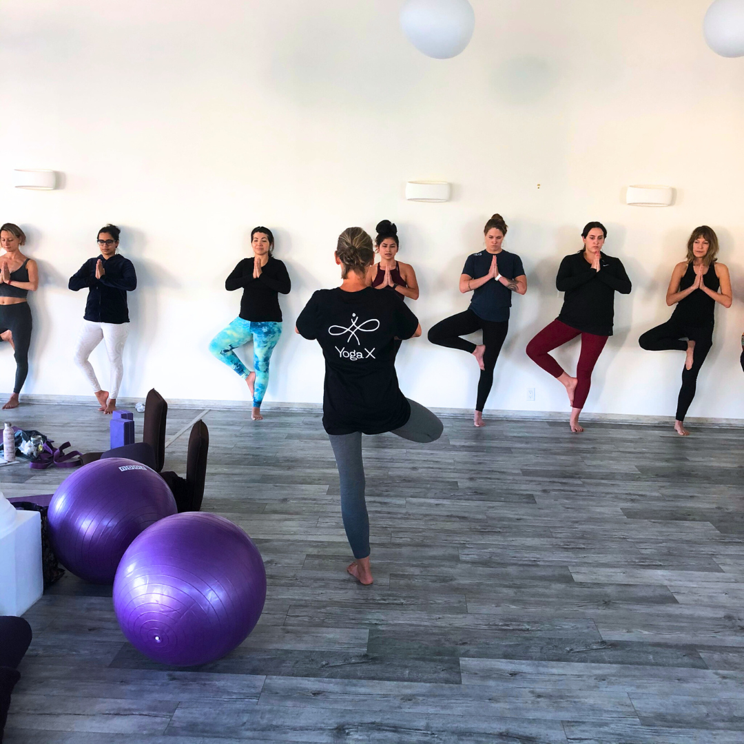 YogaX: Science Meets Soul