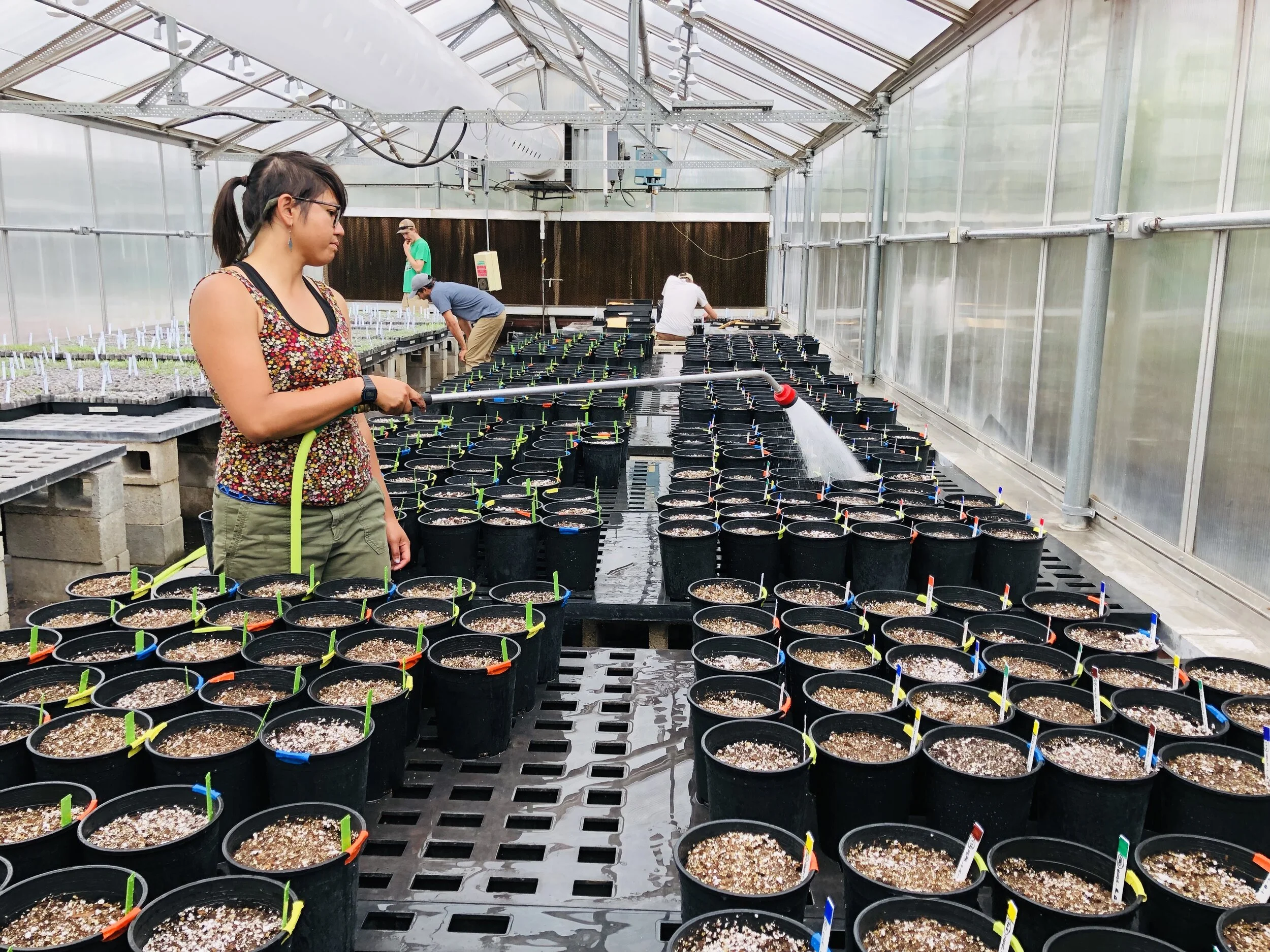 Research — Dryland Ecology and Management Lab