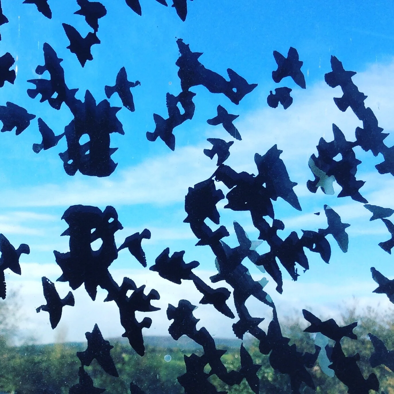 Profile — Catrin Jones