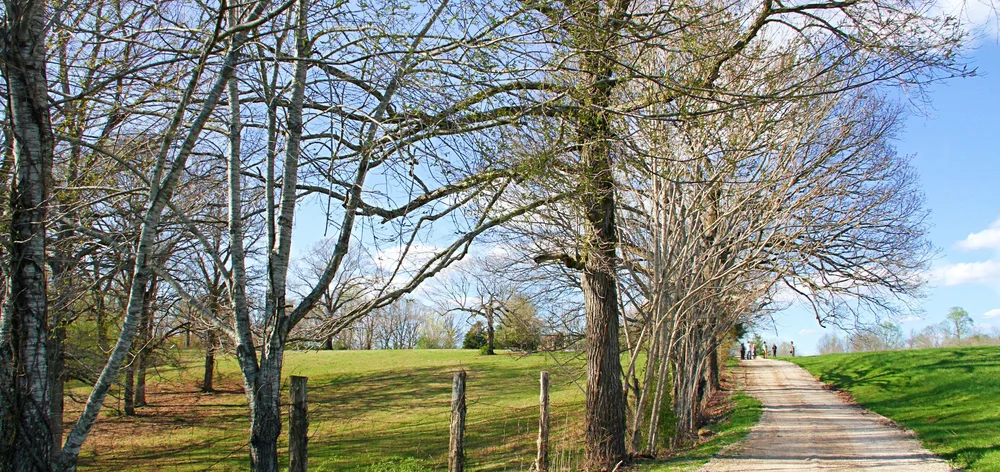 Burns Village & Farm