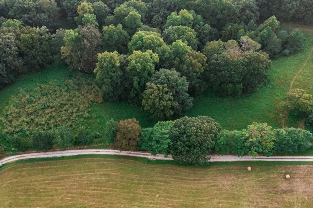 About Burns Village & Farm