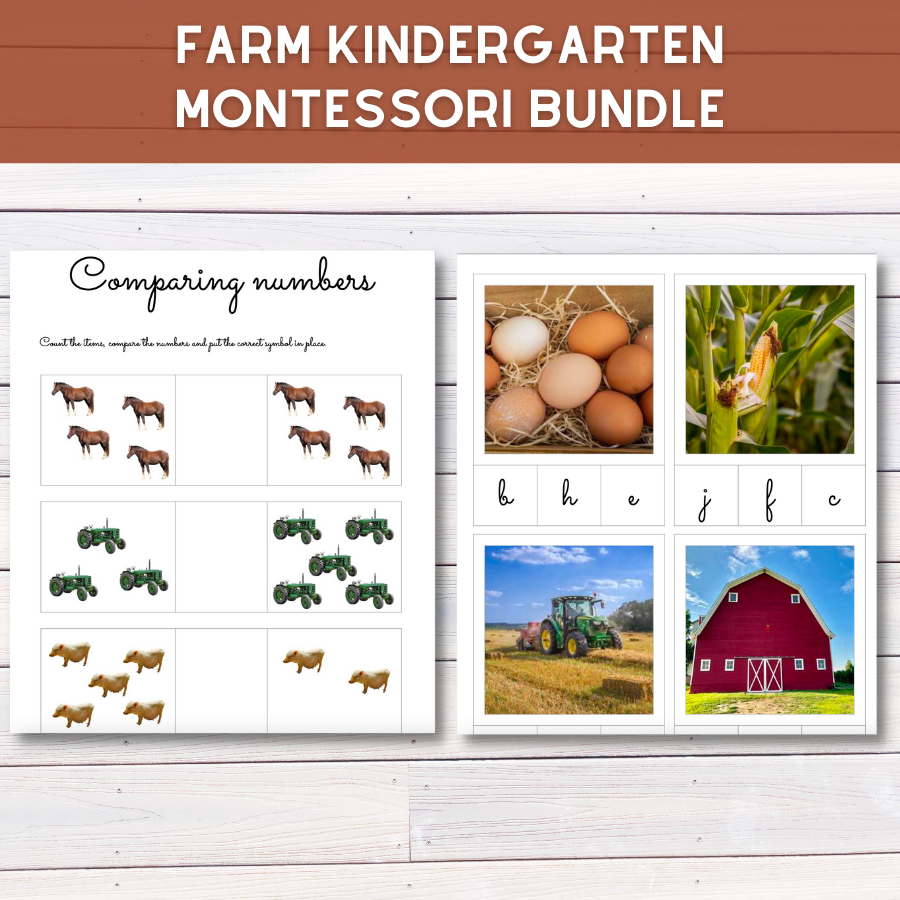 Preschool Lesson Plans — Homeschool Shop — By Mandy Maltz