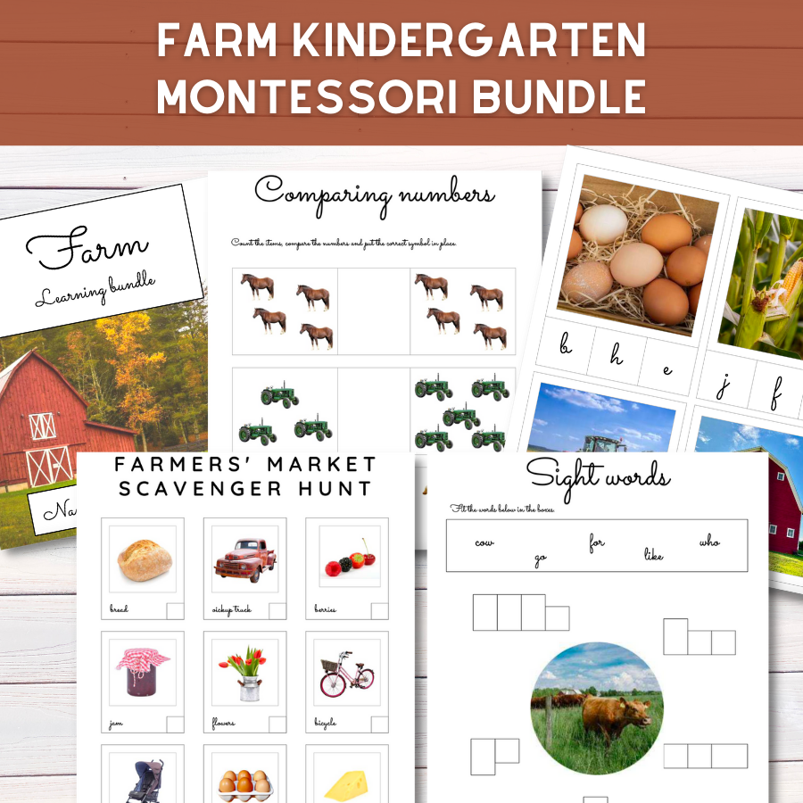 Homeschool Shop — By Mandy Maltz