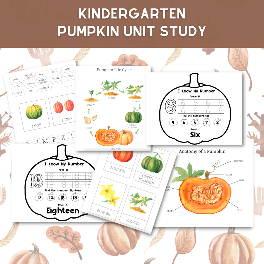 Homeschool Shop — By Mandy Maltz