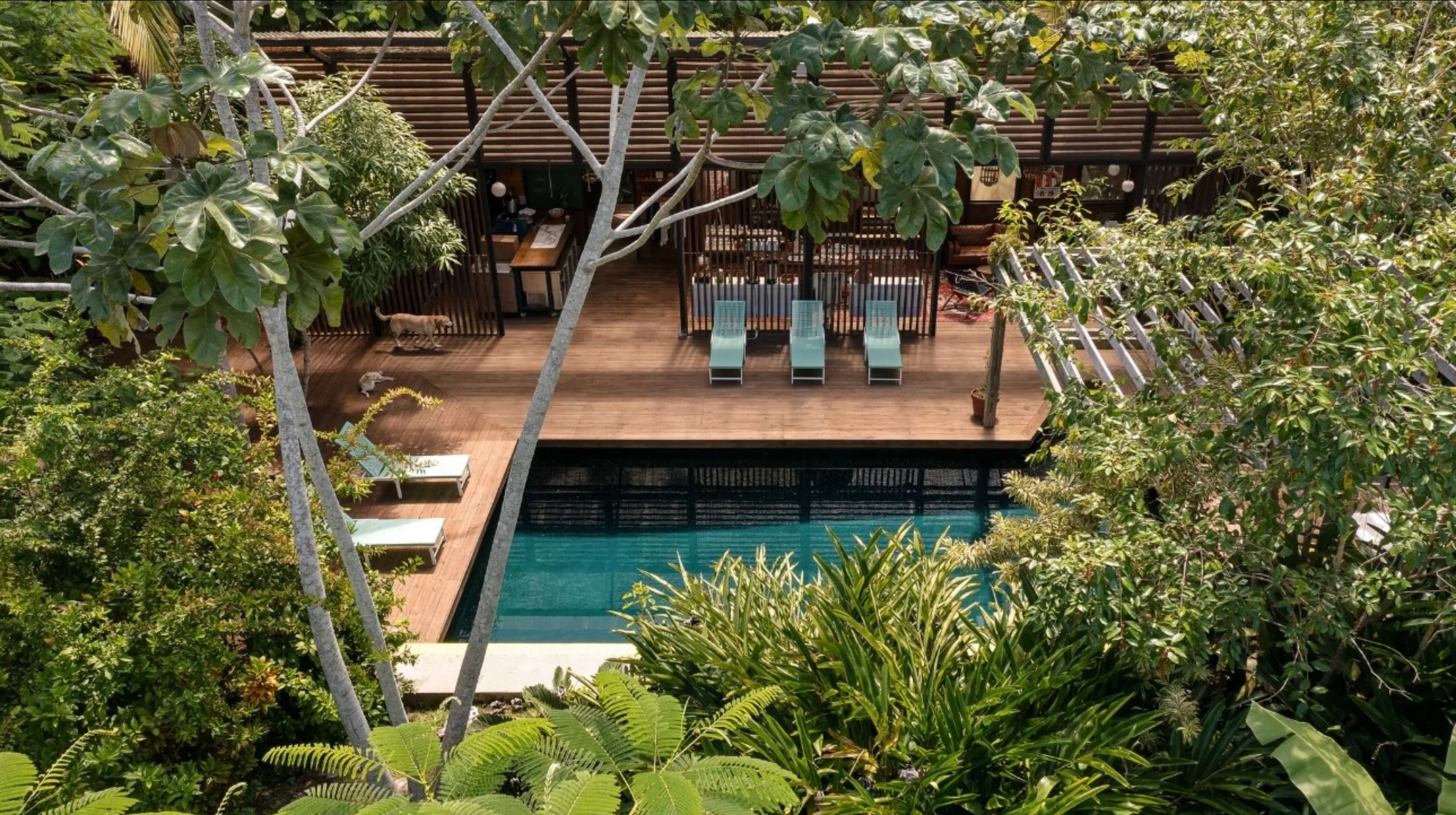 Empowerment & Wellness Retreats — Awaken with Maria Mercedes