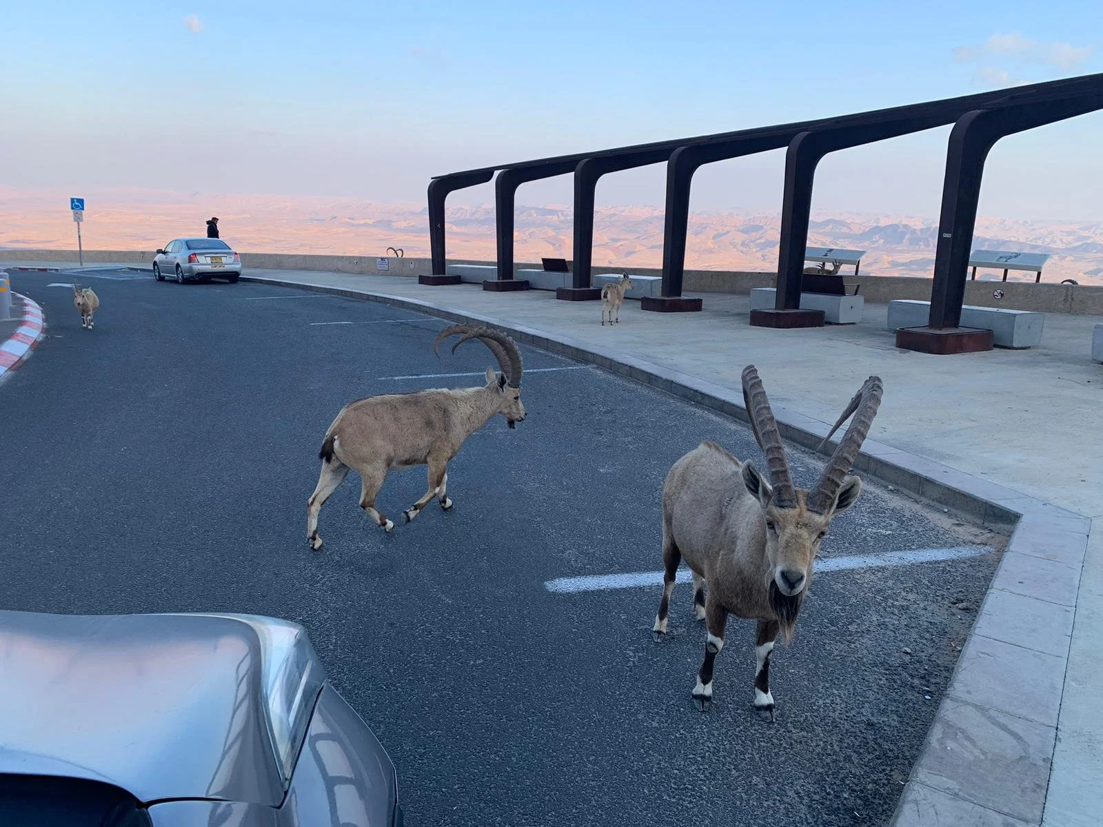 Journey With Jonathan: Entry #11 — Friends of Sabeel North America