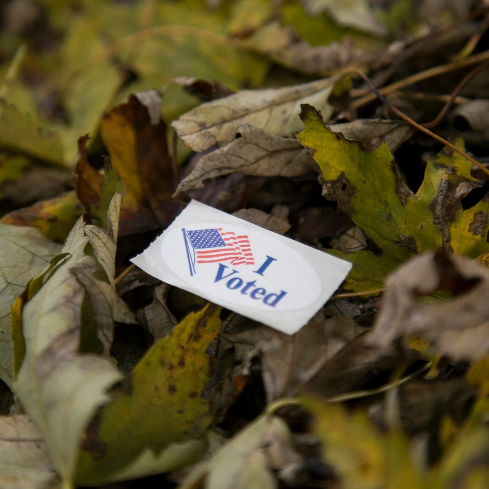 Friends of Sabeel North America