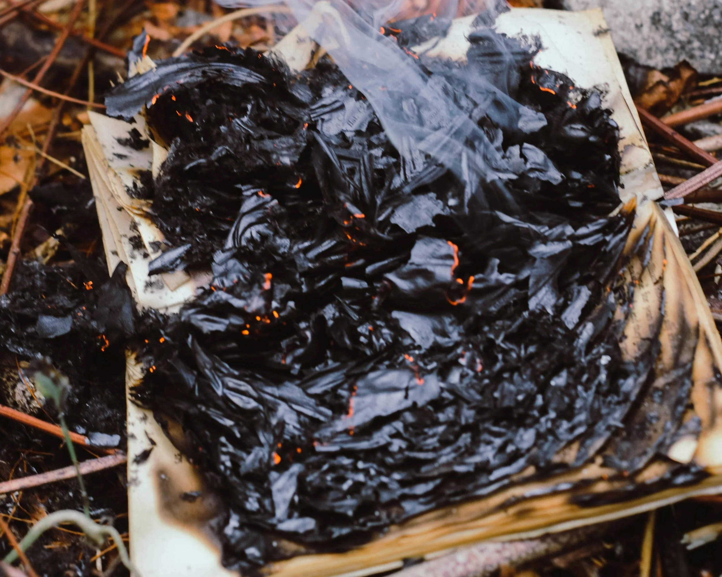 “What Radicalized You?” A Reflection for Ash Wednesday — Friends of ...