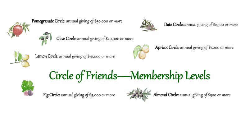 Circle of Friends — Friends of Sabeel North America