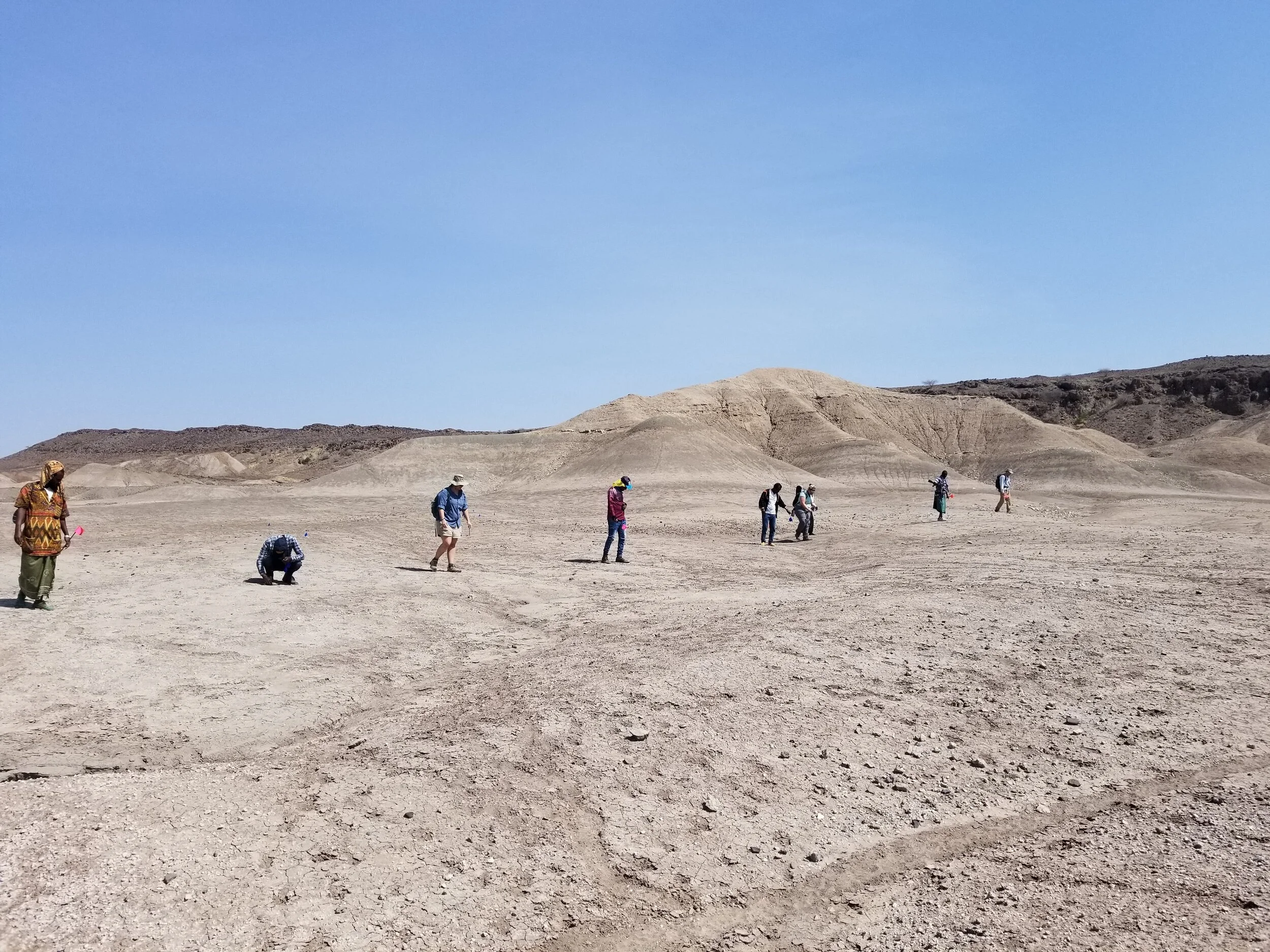Ledi-Geraru Research Project — Rector Paleoecology Lab