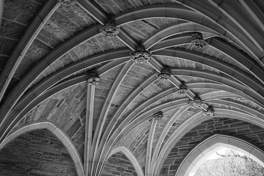 23–24 Fellows — The Barry Center