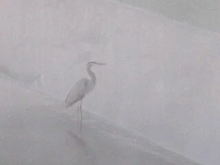 General 2 — Paulinskill Lake