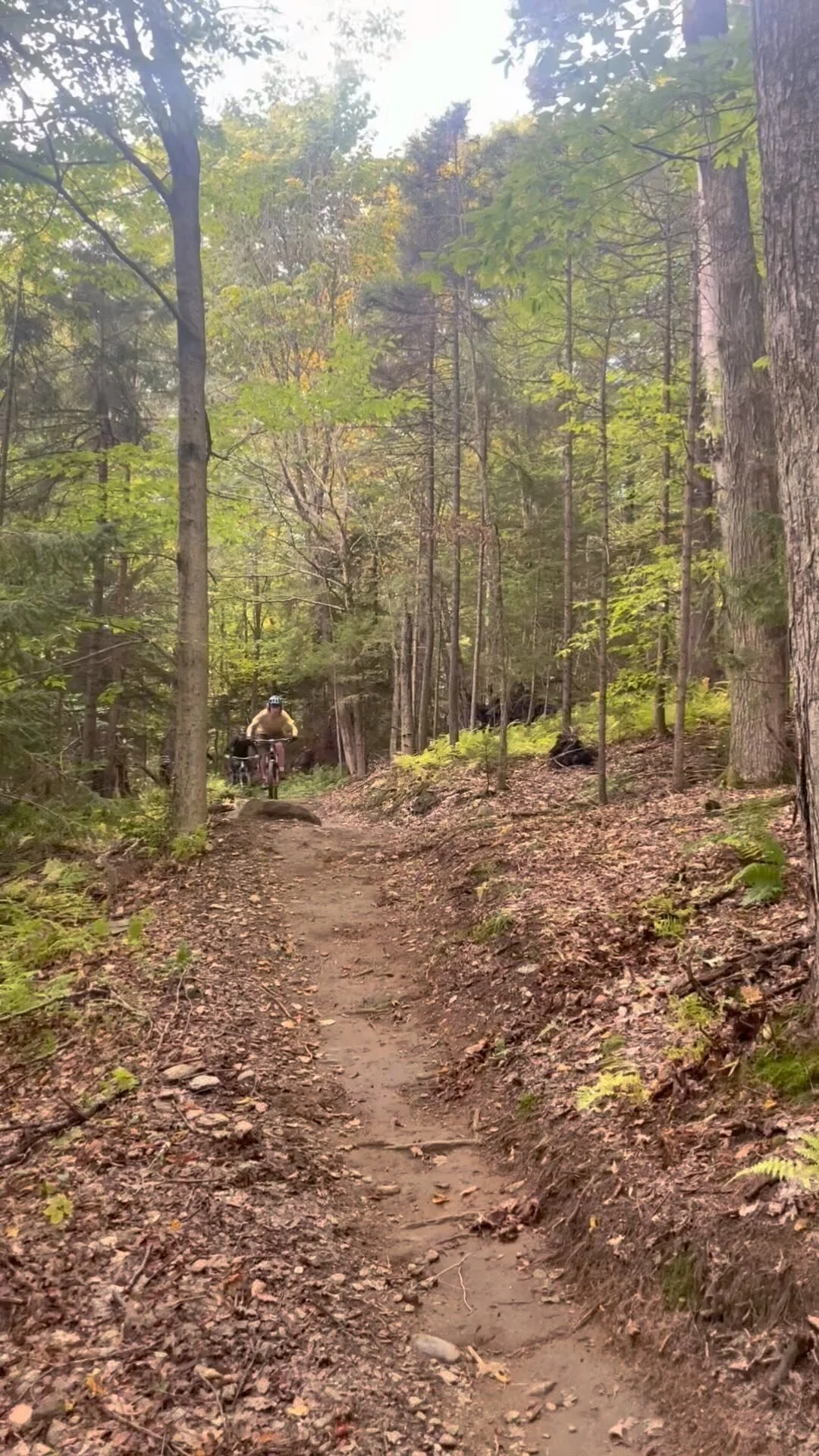 Stowe Mountain Bike Academy | Vermont Rider Development Program for ...