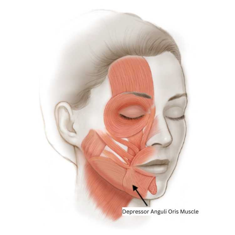 What is DAO Botox? — Graceful Skin Solutions