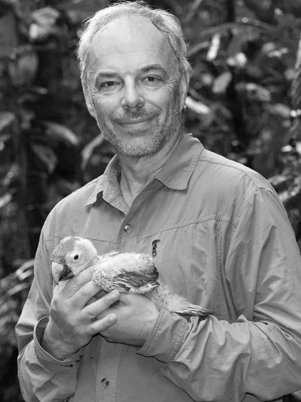 Team — Interspecies Internet