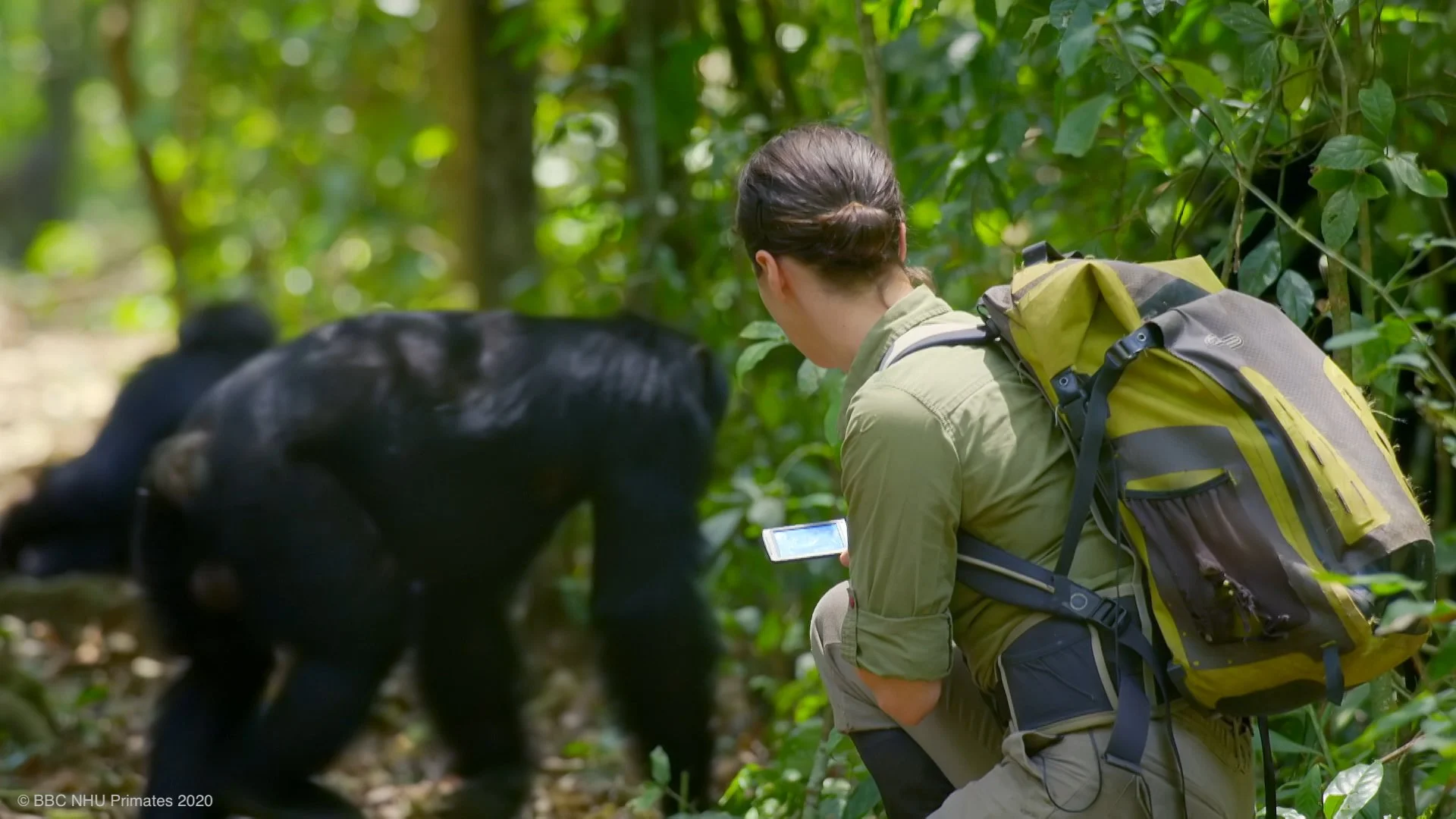 Catherine Hobaiter, Ape Talk: Reimagining the Study of Great Ape ...