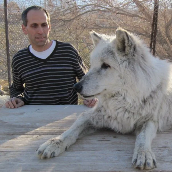 arik-kershenbaum-why-animals-talk-and-how-much-actually
