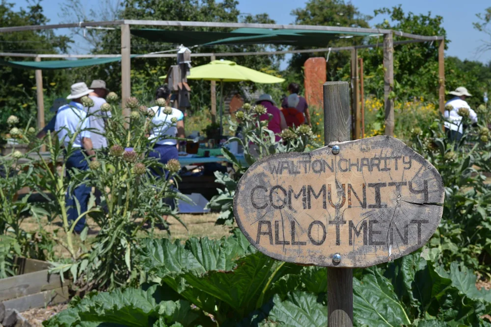Community Allotment — Walton Charity working in the heart of the local ...