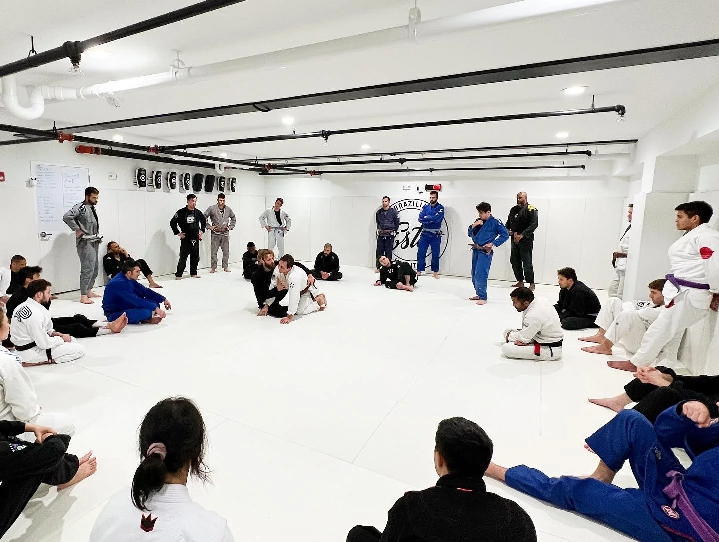 Estilo Jiu Jitsu - The Best BJJ School in DC