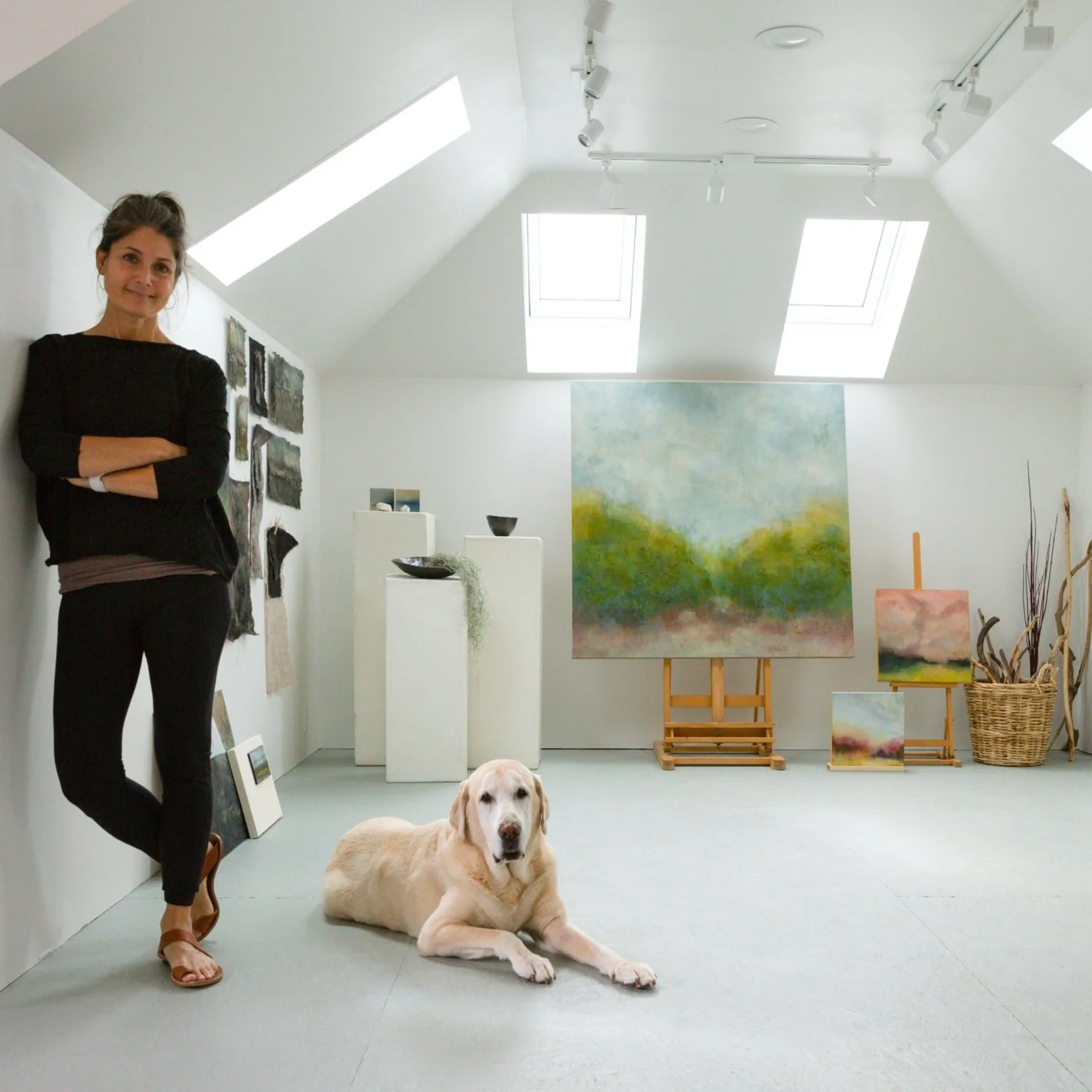 Liz Coleman Art + Design