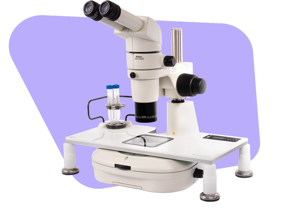 RI Witness IQ — IMH