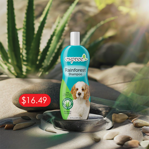 Gina's Grooming| Gina's Grooming - Professional Dog Grooming Tips