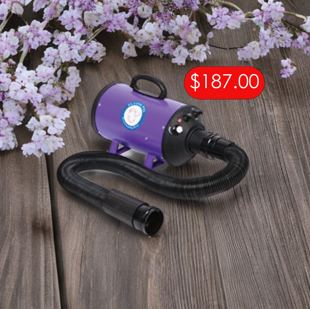 Gina's Grooming| Gina's Grooming - Professional Dog Grooming Tips