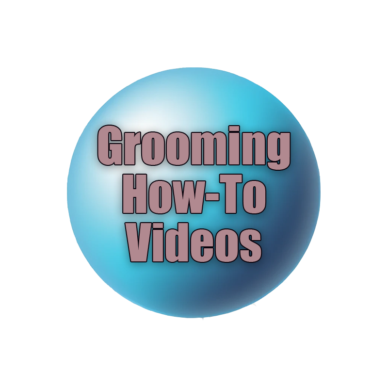 Gina's Grooming| Gina's Grooming - Professional Dog Grooming Tips