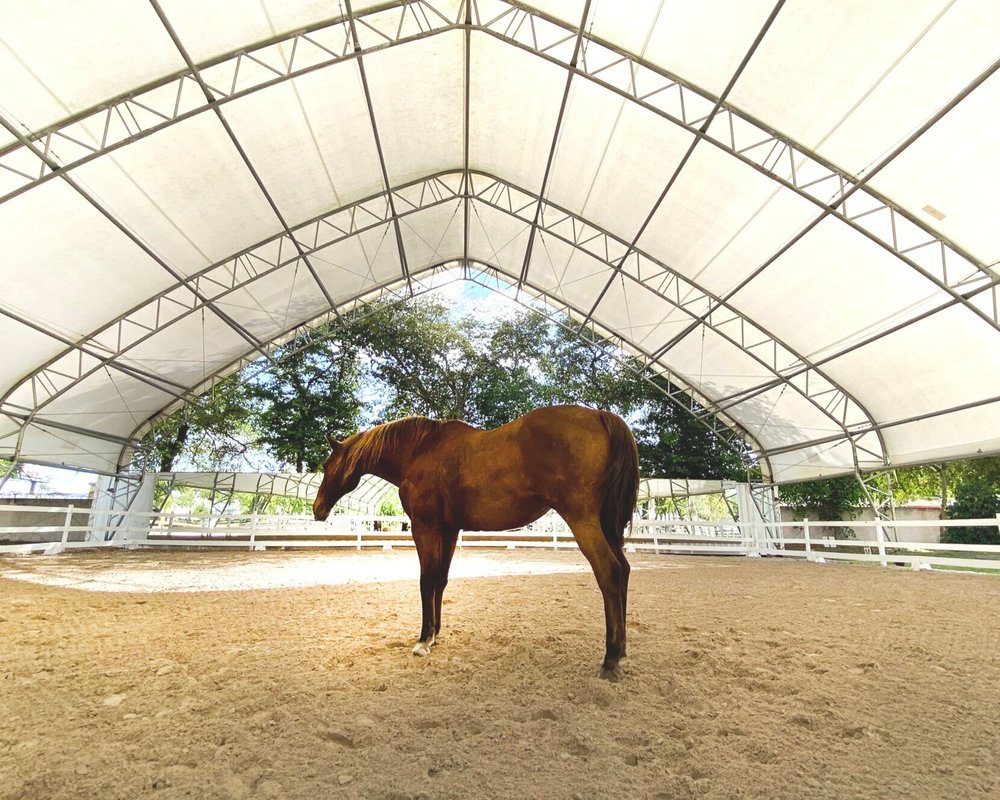 HERD Board of Directors — HERD Foundation