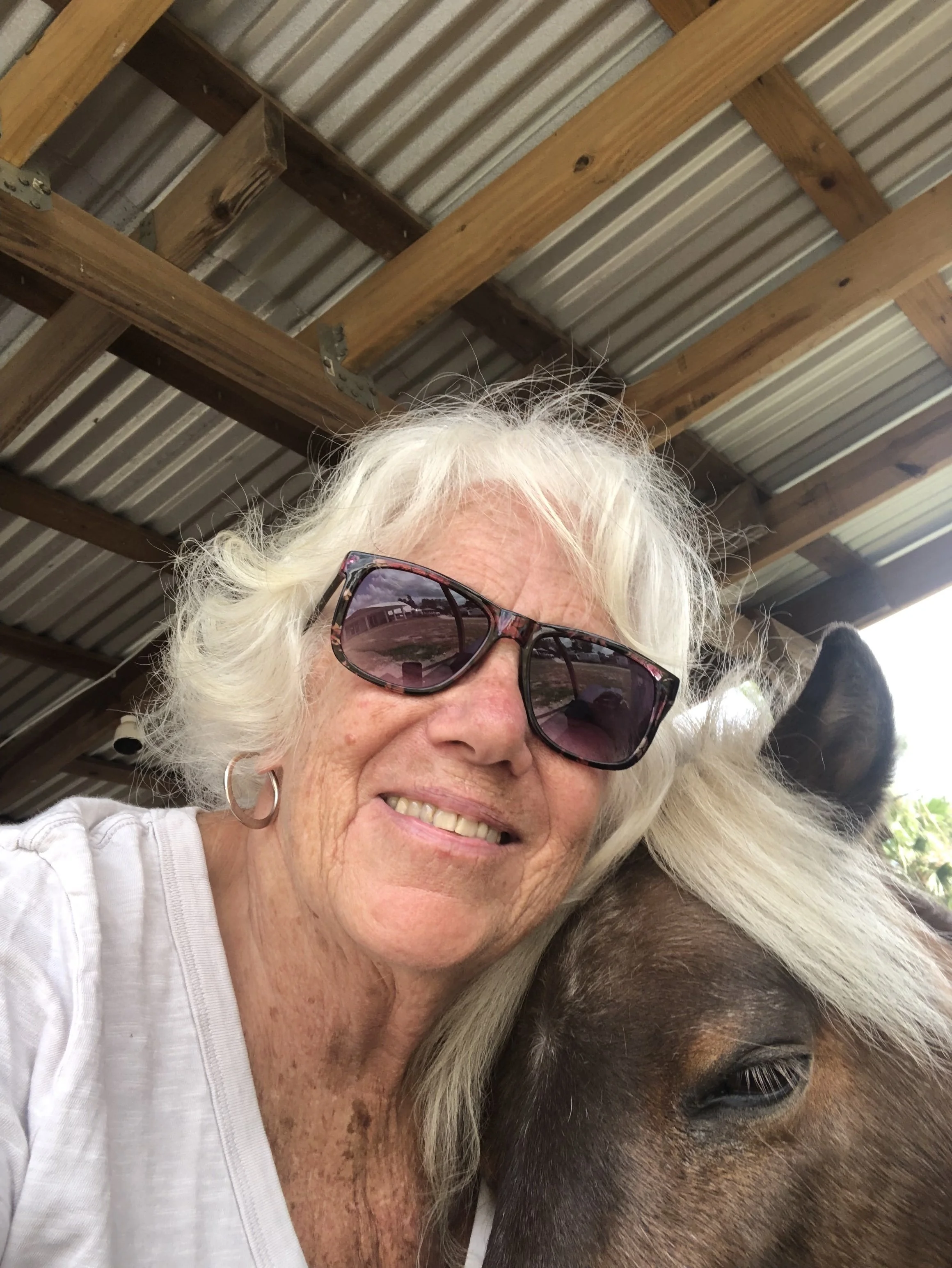 HERD Board of Directors — HERD Foundation