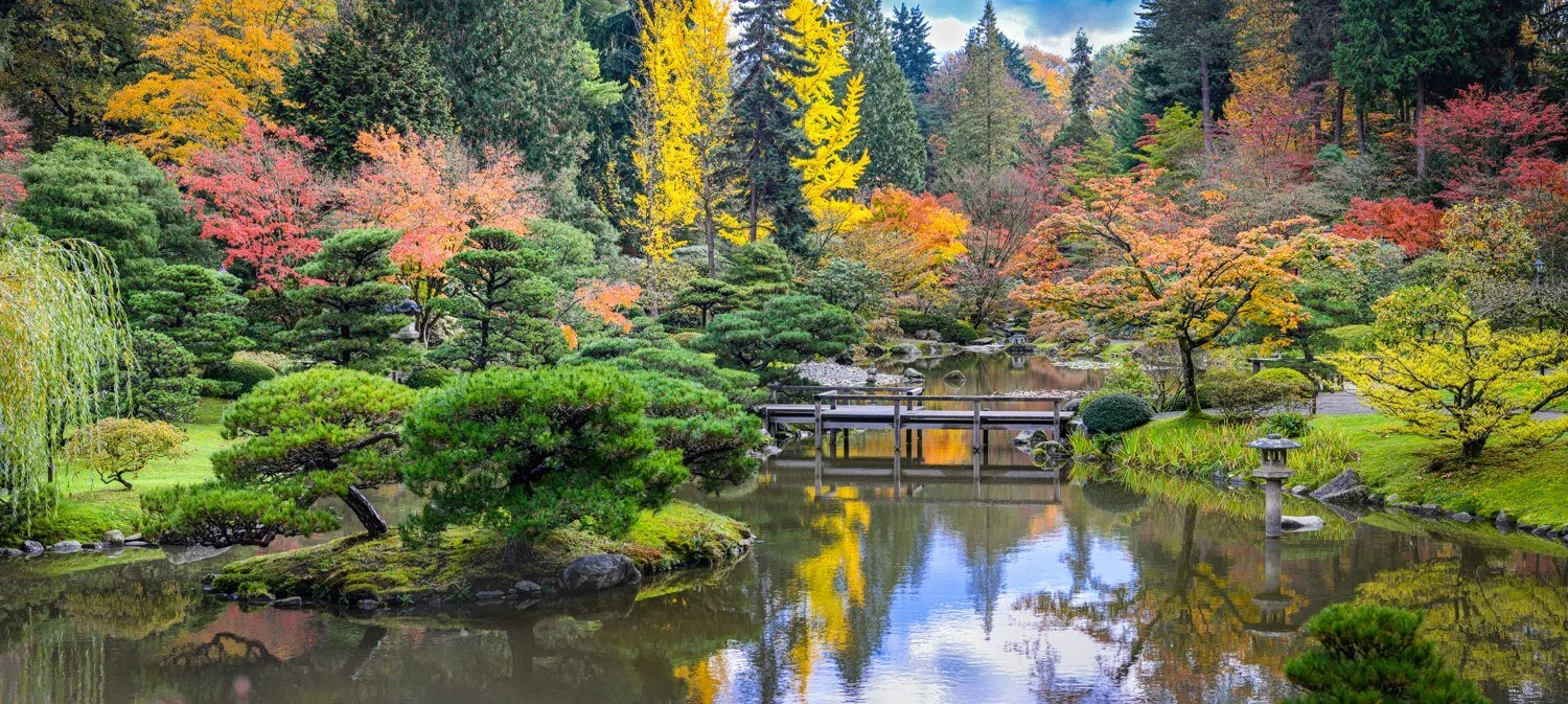Japanese Garden Seattle
