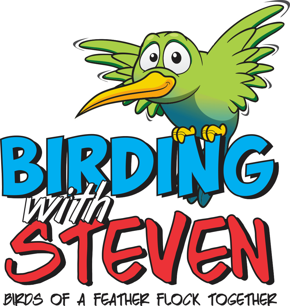 Birding with Steven