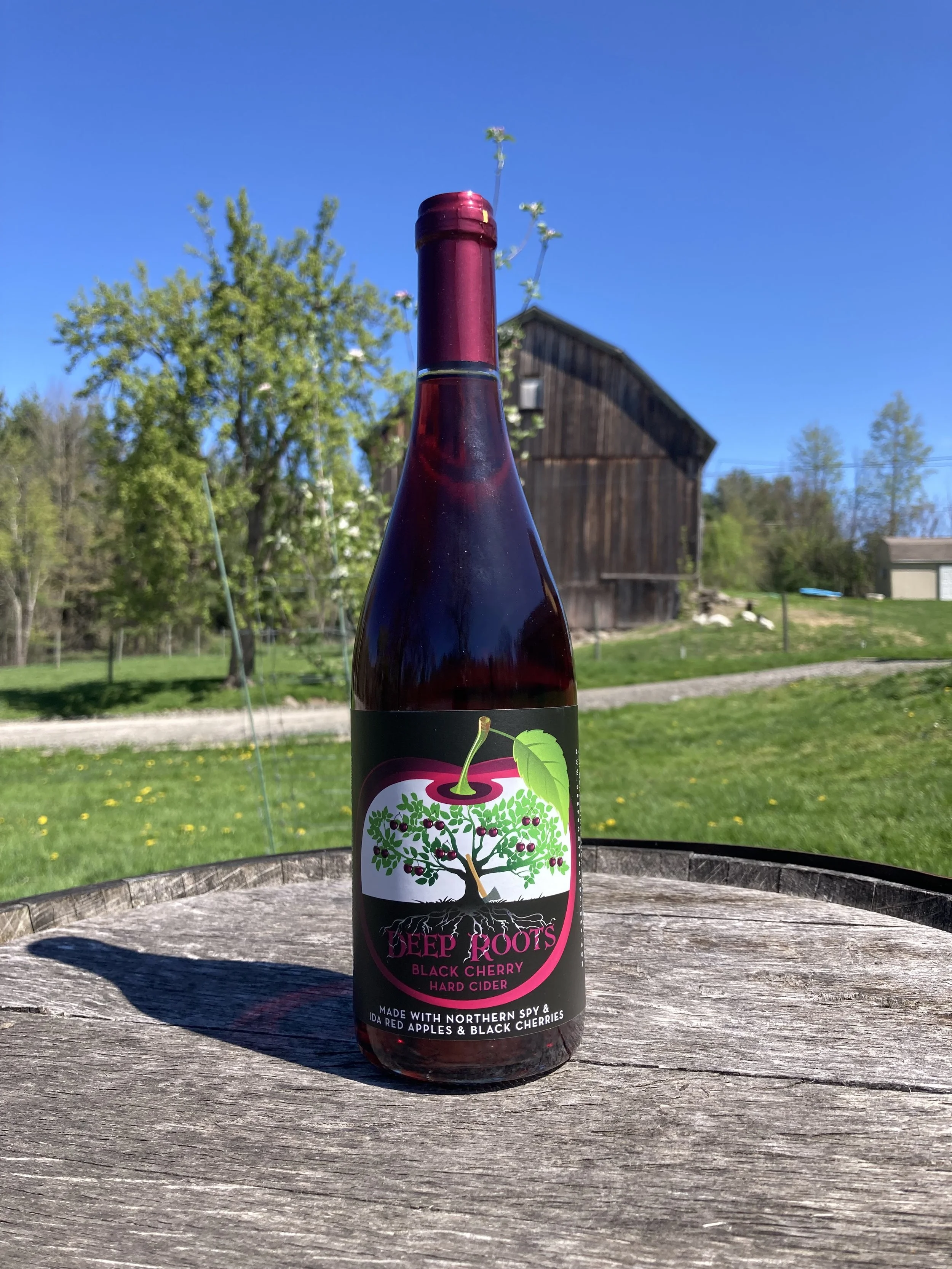 Shop Our Ciders — Deep Roots Hard Cider