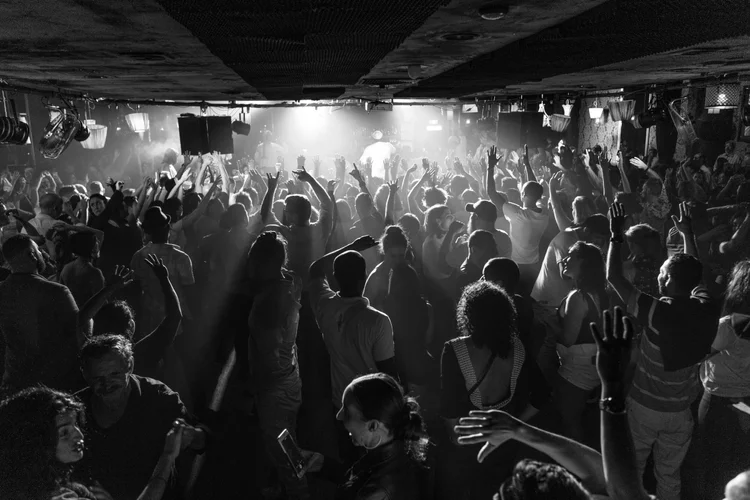 Gallery — The Night Cat