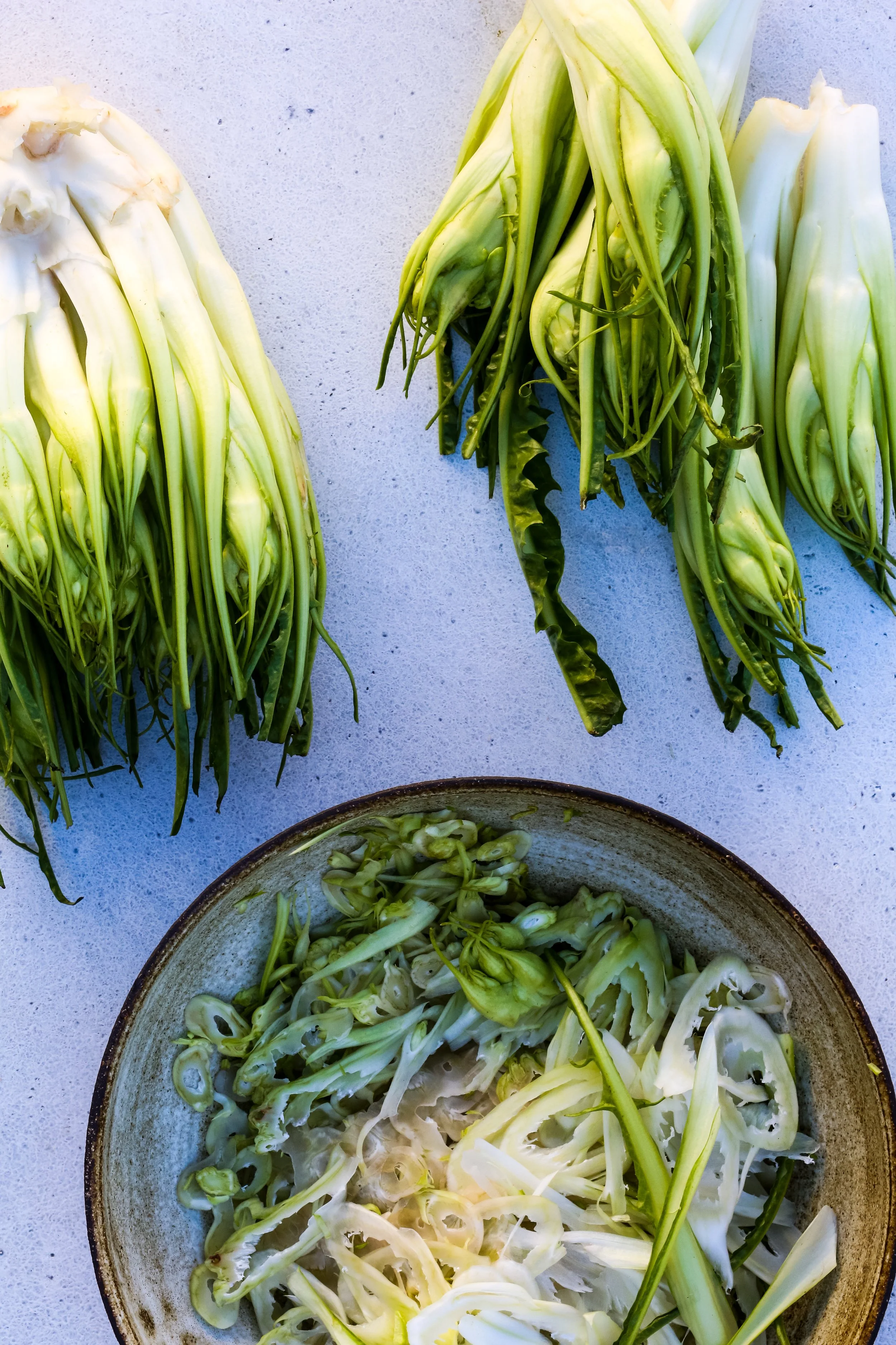 Puntarelle Salad Recipe | Earth Matterz